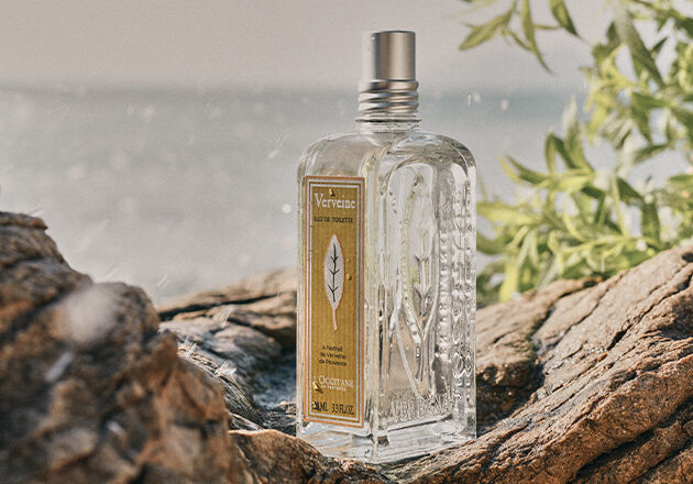 Understanding Fragrances | Perfume Tips | L'Occitane UK | L'OCCITANE IE